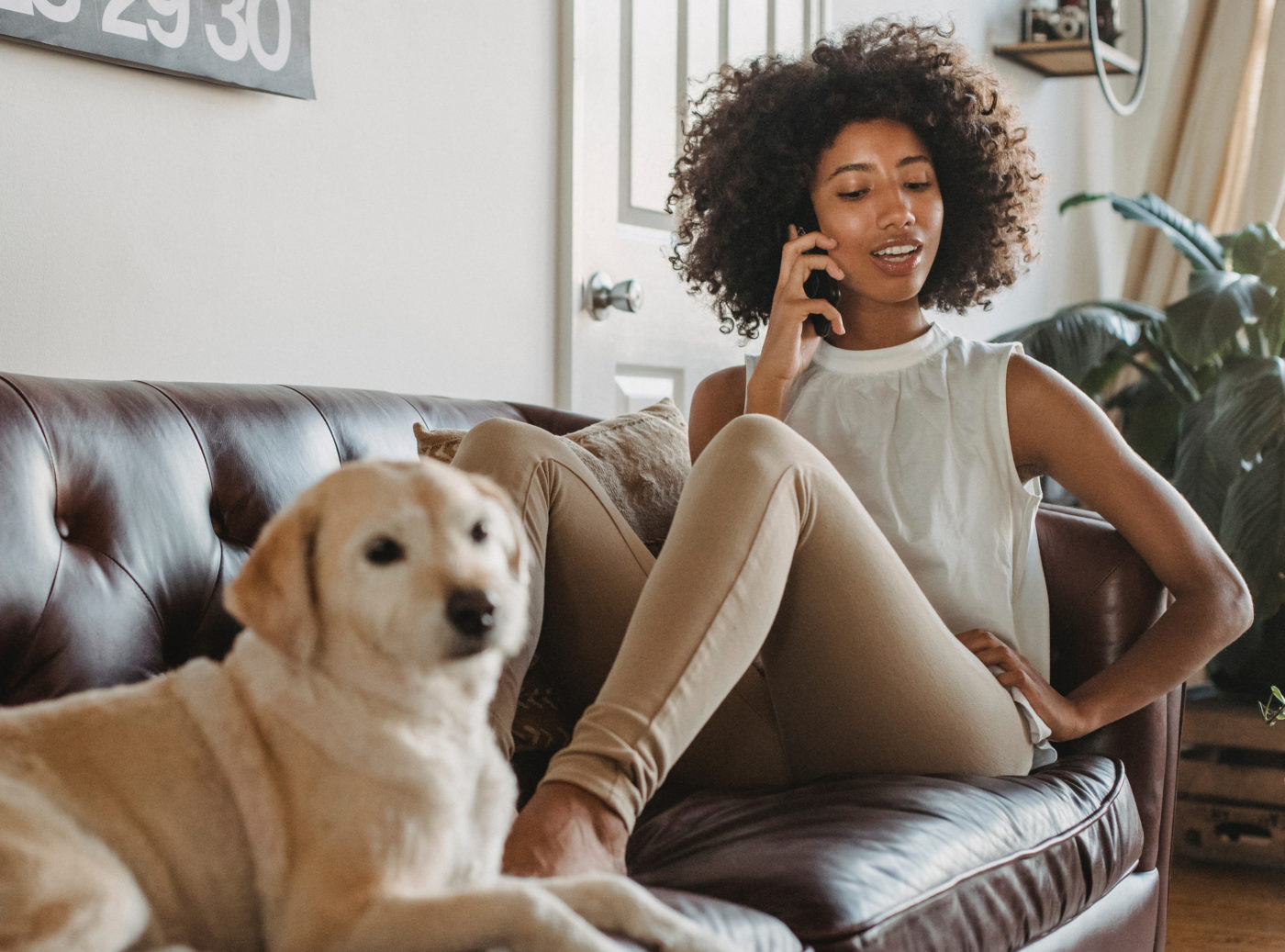 6 Tips For A Seamless Home Service Pro Search - Hello Covered