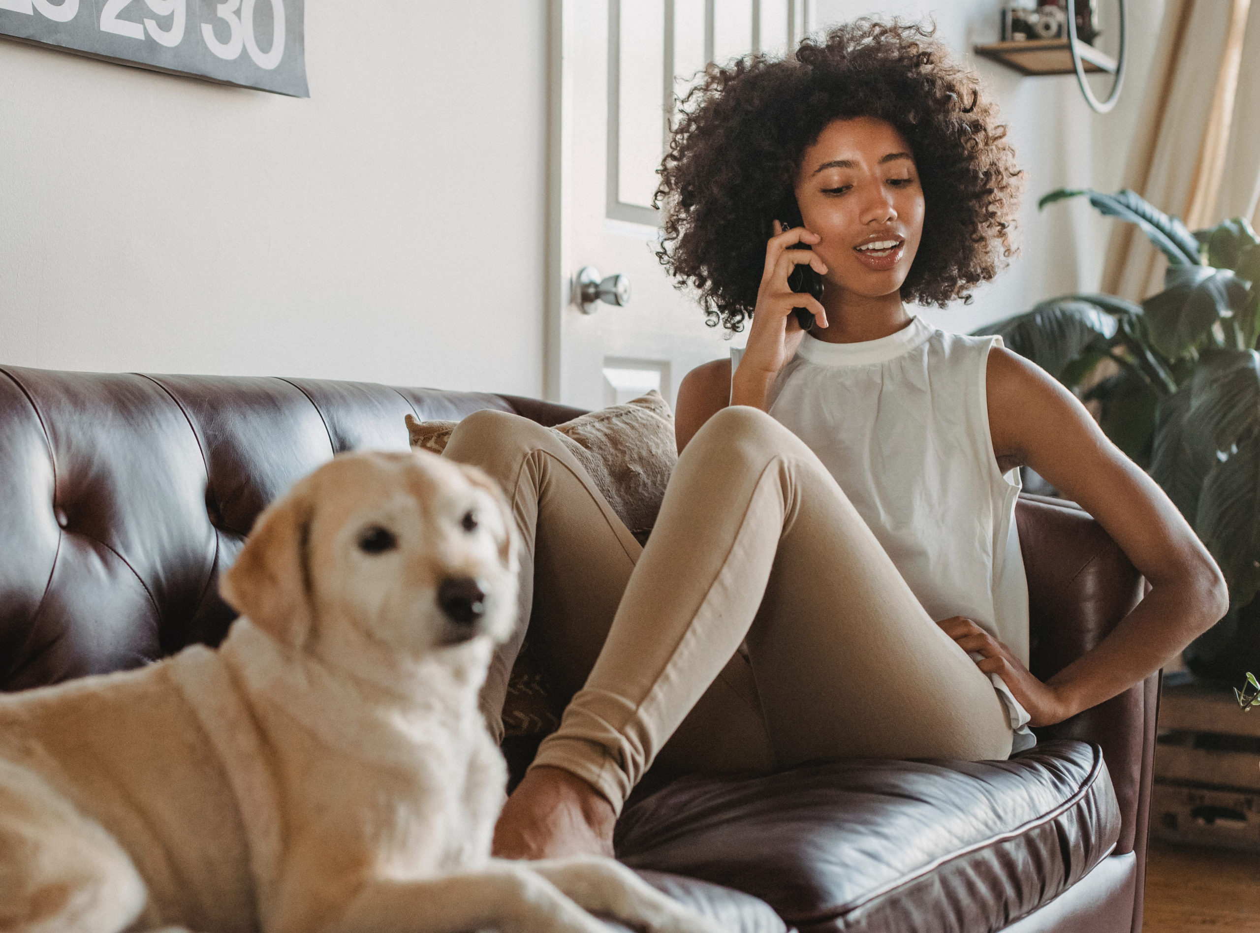 How to Talk to a Service Professional - Hello Covered