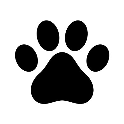 Pet Insurance - Hello Covered